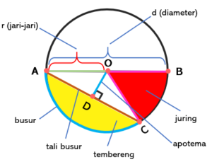 Unsur-unsur Lingkaran dan Penjelasannya - SPENTRIBA